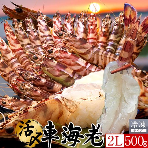 ※2025年新えびの出荷が始まりました。年末年始のお届けも承っております。車海老養殖発祥の地「熊本県 天草特産品」天草で育てた自慢の車えび、養殖場から水揚げしたての新鮮さを低温液体急速凍結で閉じ込めました。車えびに適した環境で育つ当養殖場の...