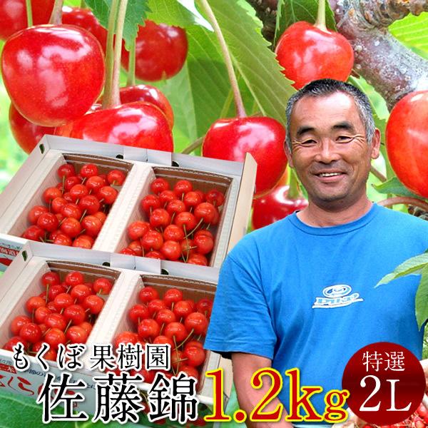 ■商品名：さくらんぼ「佐藤錦」■生産地：北海道余市郡仁木町産■内容量：【特選2L/L】約1.2kg（600g×2箱）■消費期限：冷蔵保管で2-3日■収穫期間：7月中旬頃-下旬頃まで目安※配送目安:（7月13-20日頃が出荷最盛期）■生産者：...