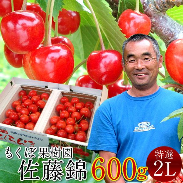 ■商品名：さくらんぼ「佐藤錦」■生産地：北海道余市郡仁木町産■内容量：【特選2L/L】約600g（300g×2パック）■消費期限：冷蔵保管で2-3日■収穫期間：7月中旬頃-下旬頃まで目安※配送目安:（7月13-20日頃が出荷最盛期）■生産者...