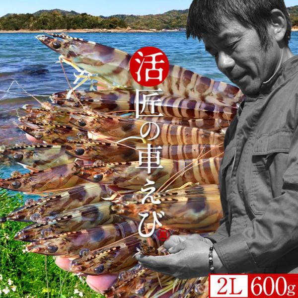 匠の車えび 車海老養殖発祥の地「熊本県 天草特産品」あまくさブランド養殖場直送上天草で優良生産者として知られている車海老養殖場（丸山えび）は、当時車海老ウィルスの流行から養殖方法を改革しようと決意し、毎日研究を積み重ね、試行錯誤の上、大切に...