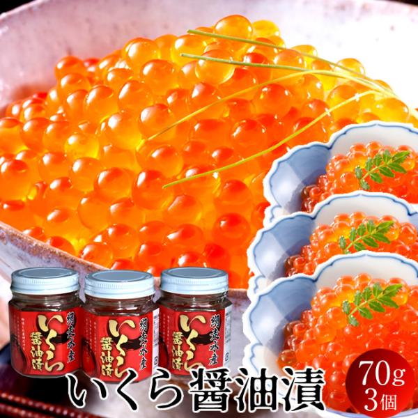 かに、海産物を中心にオホーツクの新鮮な海の幸を全国の食卓へをモットーに、北海道屈指の拠点 道東から高品質のイクラを産地直送でお届けいたします。網走管内でも有数の最新式の衛生管理を備えた巨大冷凍設備で、旬の生鮮品の美味しさを徹底した温度管理で...