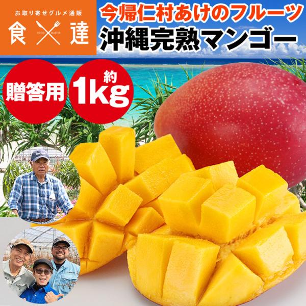 ＜商品説明＞沖縄本島北部の、今帰仁村（なきじんそん）。豊かな自然に囲まれたあけのフルーツから、名物おじーの手がける完熟マンゴーをお届けします。品種は国内で1番人気のマンゴー、アップルマンゴー（アーウィン種）。南国を感じさせるトロピカルな香り...