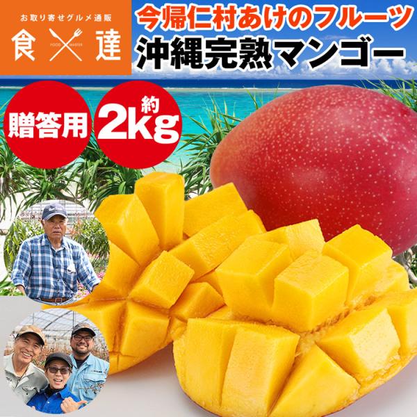 ＜商品説明＞沖縄本島北部の、今帰仁村（なきじんそん）。豊かな自然に囲まれたあけのフルーツから、名物おじーの手がける完熟マンゴーをお届けします。品種は国内で1番人気のマンゴー、アップルマンゴー（アーウィン種）。南国を感じさせるトロピカルな香り...