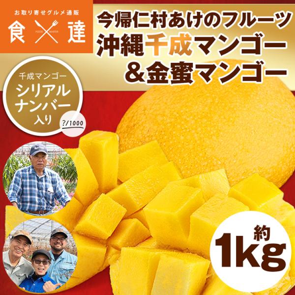 ＜商品説明＞沖縄本島北部の、今帰仁村（なきじんそん）。豊かな自然に囲まれたあけのフルーツから、名物おじ〜の手がける完熟マンゴーをお届けします。今回お届けする金蜜マンゴーは、名前の通り黄金の蜜を纏った、出荷量の少ない高級マンゴーです。濃厚でコ...