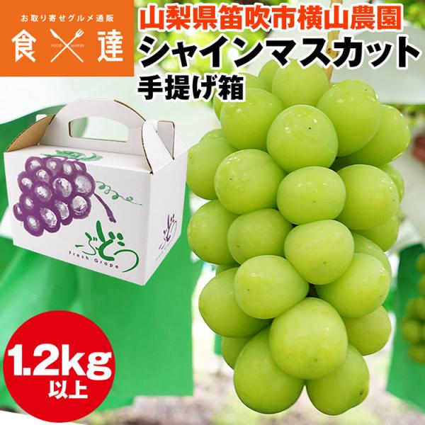 ＜商品説明＞ぶどうの名産地、山梨県笛吹市の横山農園から産地直送。種が無く皮ごと食べられる手軽さで大人気の、シャインマスカット！パリッとした果皮の食感。大粒の果肉はぷるんっと弾力があり、食べごたえ十分。糖度が非常に高く、酸味はほとんど無い、甘...