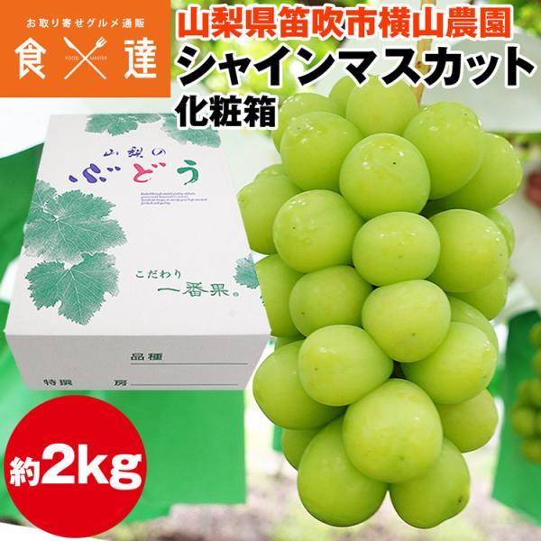 ＜商品説明＞ぶどうの名産地、山梨県笛吹市の横山農園から産地直送。種が無く皮ごと食べられる手軽さで大人気の、シャインマスカット！パリッとした果皮の食感。大粒の果肉はぷるんっと弾力があり、食べごたえ十分。糖度が非常に高く、酸味はほとんど無い、甘...