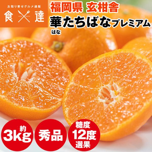 福岡県JAふくおか八女のブランドみかん、華たちばなを産地直送でお送りします。光センサーで糖度11度選果を行い、個体ごとの味や甘みのバラつきが少なく高い評価を得ている華たちばなを、さらに厳選した“プレミアム華たちばな”。糖度はなんと12度以上...