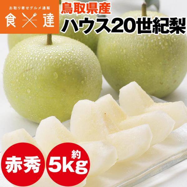 ＜商品説明＞梨の名産地、鳥取県。中でも20世紀梨は100年以上の歴史を持つ、県を代表する品種です。果肉は柔らかめ。果汁たっぷりジューシーでシャキシャキとした食感を楽しめます。甘みの中に程よい酸味も感じられる爽やかな味わいは暑い時期にぴったり...