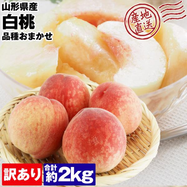 ＜商品説明＞〇品種厳選！山形県産白桃白桃はやや硬めの桃で、食べごたえのあるしっかり食感の果肉が特徴です。上品な甘み、深い味わいが魅力。比較的日持ち性にも優れた品種です。今回は、一宮白桃、なつっこ、川中島白桃、浅間白桃など白桃系桃の中からその...