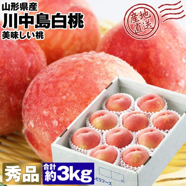 ＜商品説明＞〇山形県から産地直送！川中島白桃山形県の美味しい桃を、産地直送でお送りします。品種は川中島白桃。山形を代表する桃で、出荷元のJAてんどうフーズさんでも毎年1番人気の品種です。実が大きく、硬めの果肉が特徴。しっかりとした歯触りを楽...