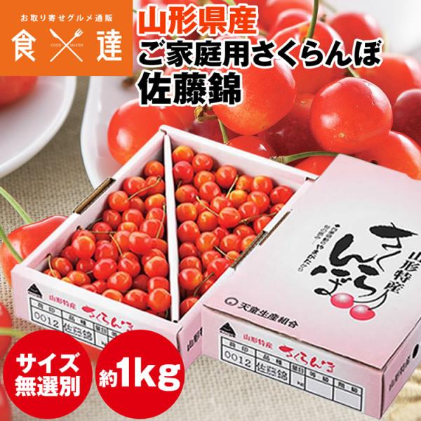 ＜商品説明＞〇甘み濃厚、ジューシーなさくらんぼ佐藤錦山形県生まれのさくらんぼ、佐藤錦（さとうにしき）。高級フルーツとして知られ、見た目の美しさから『赤いルビー』とも呼ばれています。果肉は乳白色で、柔らかくジューシー。果皮はパリッとした食感で...
