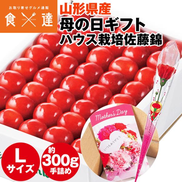 ＜商品説明＞〇旬の味を先取り！加温ハウス栽培の佐藤錦山形県生まれのさくらんぼ、佐藤錦（さとうにしき）。高級フルーツとして知られ、見た目の美しさから『赤いルビー』とも呼ばれています。果肉は乳白色で、柔らかくジューシー。果皮はパリッとした食感で...
