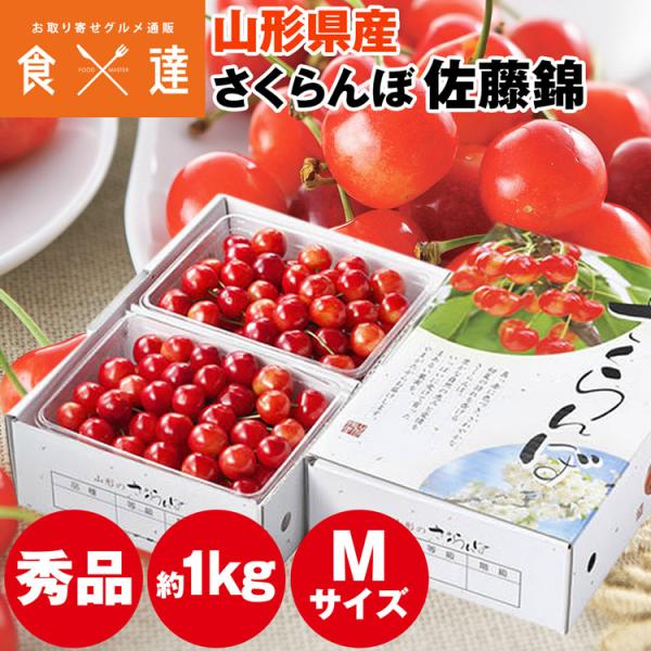 ＜商品説明＞〇甘み濃厚、ジューシーなさくらんぼ佐藤錦山形県生まれのさくらんぼ、佐藤錦（さとうにしき）。高級フルーツとして知られ、見た目の美しさから『赤いルビー』とも呼ばれています。果肉は乳白色で、柔らかくジューシー。果皮はパリッとした食感で...