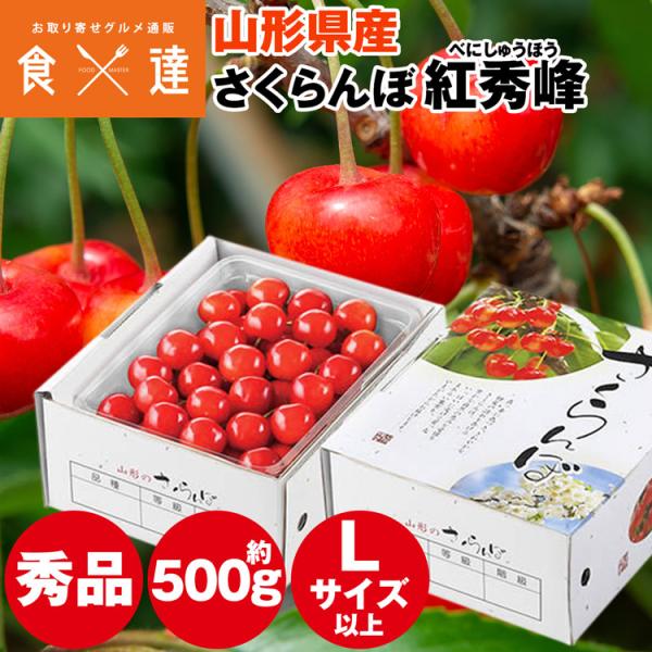 ＜商品説明＞〇甘み濃厚、ぷりぷり食感の紅秀峰山形うまれの紅秀峰（べにしゅうほう）。佐藤錦の後に収穫期を迎える晩生種で佐藤錦よりひとまわりほど大きく紅色が強いさくらんぼです。クリーム色の果肉は、硬めで歯ごたえがあり食べごたえ十分。ぷりぷりっと...
