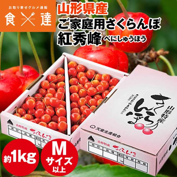 ＜商品説明＞〇甘み濃厚、ぷりぷり食感の紅秀峰山形うまれの紅秀峰（べにしゅうほう）。佐藤錦の後に収穫期を迎える晩生種で佐藤錦よりひとまわりほど大きく紅色が強いさくらんぼです。クリーム色の果肉は、硬めで歯ごたえがあり食べごたえ十分。ぷりぷりっと...