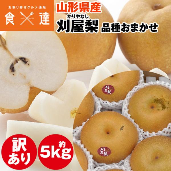 ＜商品説明＞山形県産和梨のトップブランド、刈屋梨（かりやなし）。山形県酒田市刈屋地区で栽培される和梨の名称です。完熟するまで実を樹にならせておくため、キズがつきやすく、栽培には多くの手間がかかりますがその分、食味抜群。ジューシーさ、甘みが違...