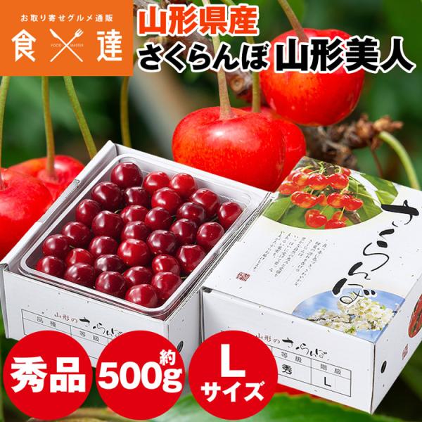 ＜商品説明＞「さくらんぼの王様」佐藤錦の枝替わり品種であり、名前の通り山形県うまれの山形美人。味わい、外観ともに佐藤錦の特徴を引き継いでいます。果皮の色味は山形美人の方が濃く、艶のある鮮やかな紅色が特徴。果肉は硬めで比較的日持ちがよく、しっ...