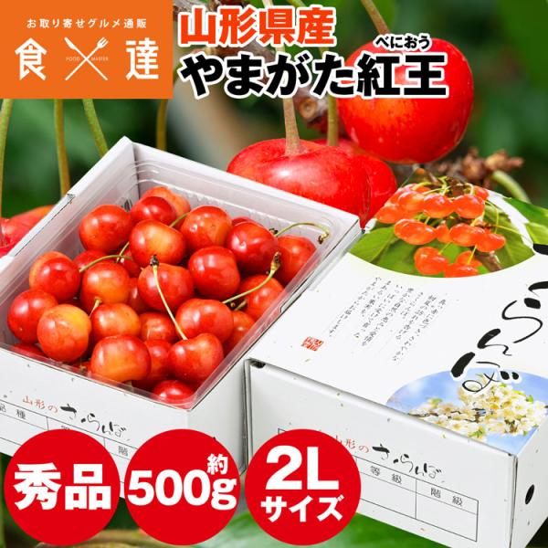 ＜商品説明＞さくらんぼの名産地、山形県が長い年月をかけて開発した大玉の新品種、やまがた紅王（べにおう）。500円玉ほどにもなる粒の大きさとハリツヤのある鮮やかな紅色が特徴。果肉は硬めで、パリッとした弾力のある食感がやまがた紅王の魅力です。糖...