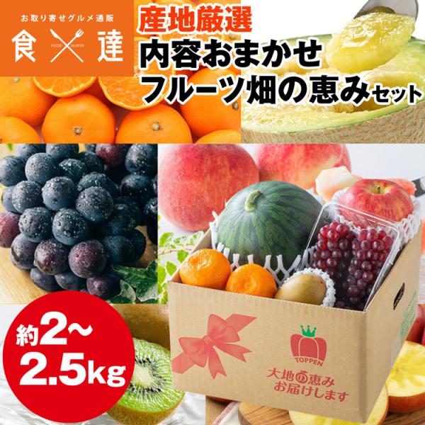 ＜商品説明＞旬のフルーツの詰め合わせをお届けします。世界各地からこだわりのフルーツが集まる、熊本の青果市場から直送いたします。たっぷりお届けしますので、朝食に、デザートに、おやつに、様々なシーンでお楽しみください。ご自宅用にはもちろん、離れ...