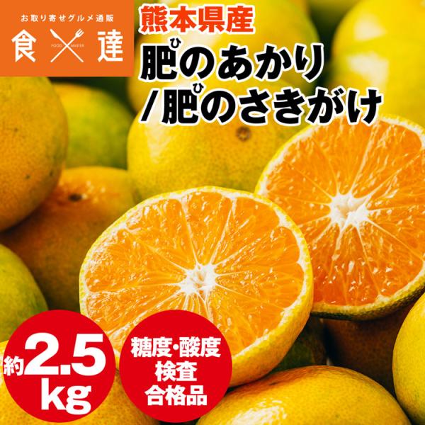 ＜商品説明＞温州みかんの中で最も早い時期から出荷が始まる、極早生みかん。その極早生みかんを１玉ずつ光センサーで厳しく選果し、糖度と酸度をクリアしたものだけがＪＡブランド「肥のあかり」「肥のさきがけ」として出荷されます。この時期には希少な高糖...