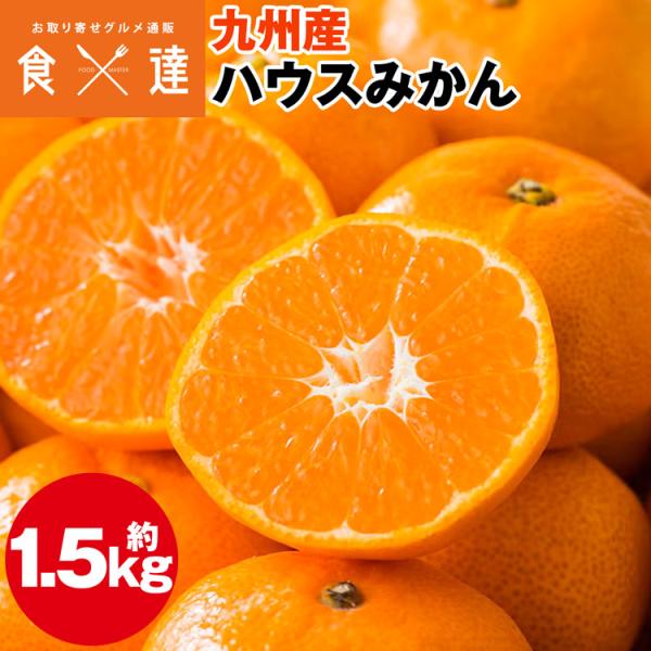 ＜商品説明＞熊本県・佐賀県など九州の名人が育てた希少なハウスみかん。温度や水分を徹底管理した温室栽培により、糖度13度前後の濃厚な甘みとコクを実現しました。酸味が少なく、薄皮の中には果汁がたっぷり。冬のみかんとはひと味違う、夏ならではの贅沢...