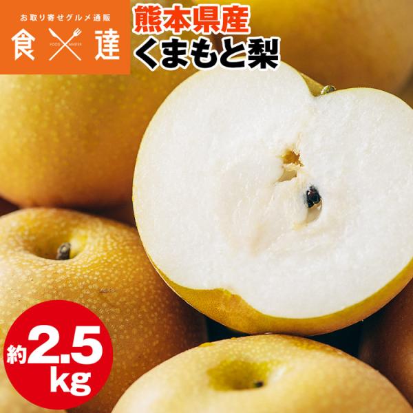 ＜商品説明＞全国でも有数の梨の産地、熊本県産の美味しい梨を品種おまかせでお届けします。幸水、豊水、秋月、新高などから時期ごとに旬の品種を厳選いたします。完熟してから収穫するくまもと梨は果樹たっぷりでみずみずしくサクサク、シャリシャリとした食...