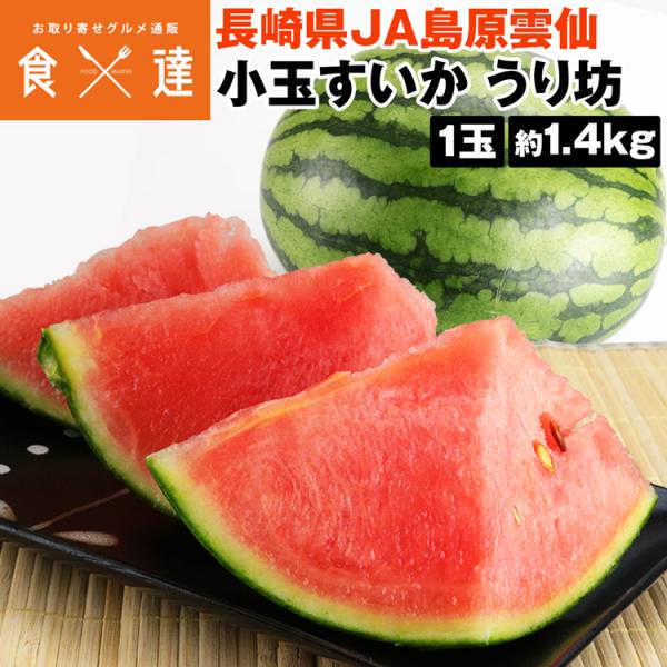 〇ころんとした見た目が愛らしい、小玉スイカうり坊楕円形のラグビーボールのような特徴的な形と、スイカ特有の縞模様が、まるでイノシシの子供うり坊のように見えることからその名が付けられました。一般的なすいかと比べると小ぶりなサイズです。果肉の色は...
