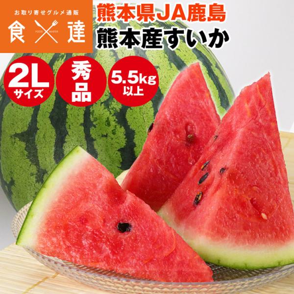 〇シーズン先取り！甘くて美味しい熊本の初夏すいか夏の大人気フルーツといえばすいか。そんな夏の味をシーズン先取りで楽しみませんか？お届けする初夏すいかは、ハウス栽培により5、6月に旬を迎えます。もちろん、夏のすいかに劣らず美味！甘くみずみずし...