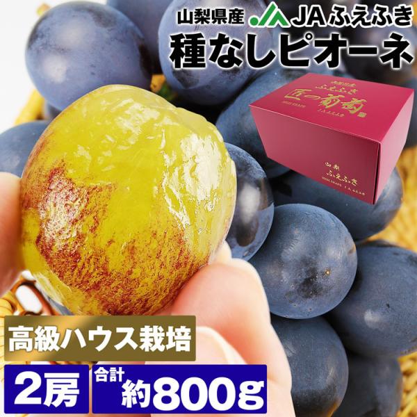 〇巨峰とマスカットのいいとこどり！甘く爽やかな香りの種なしピオーネピオーネは、巨峰とマスカットを交配し生み出されたぶどうです。両親の特徴をうまく引き継ぎ、濃厚な甘さとコク、マスカット特有の爽やかな芳香が魅力。程よい酸味も感じられ、フルーティ...