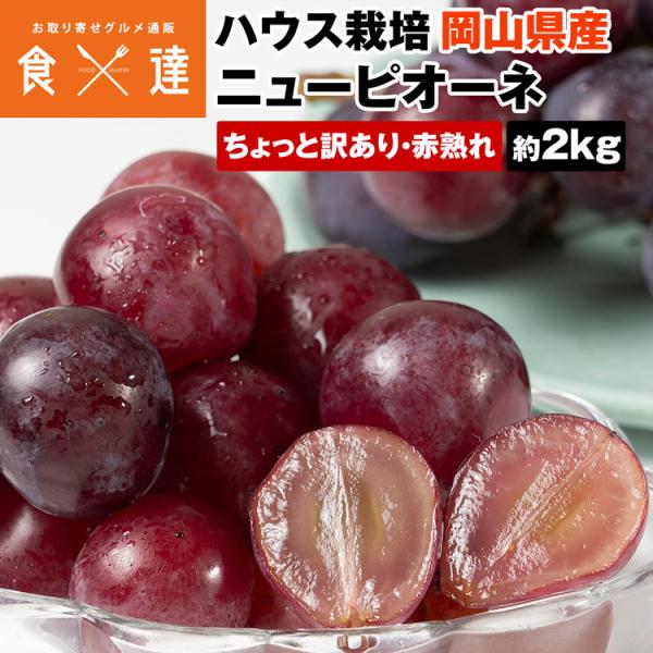 〇ちょっと訳あり赤熟れ品気温の高さが原因で、黒く色付かなかったぶどうを『赤熟れ』とよんでいます。見た目はやや劣りますが、果皮が赤みがかっているだけで、美味しさはそのまま。果肉は甘く濃厚でジューシーです！そんなちょっと訳ありの赤熟れニューピオ...