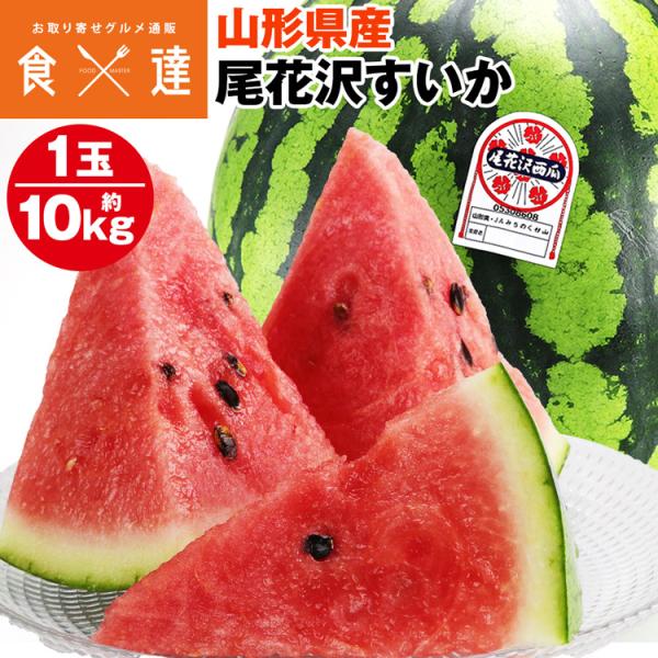 〇夏すいかのトップブランド、尾花沢すいか尾花沢市とその周辺で栽培されている、山形県を代表するブランドすいか。他県のすいかの出荷は主に春先から初夏にかけてピークをむかえるため、7〜8月に出荷のピークを迎える尾花沢すいかは、日本一の夏すいかとも...