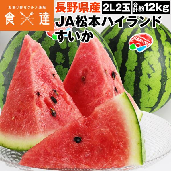 〇地域限定栽培のブランドすいかJA松本ハイランドすいかは、長野県の標高600〜800mの高地で地域限定で栽培されているブランドすいかです。昼夜の温度差、豊富な日照量。高地ならではの気候と、すいかの栽培に適した火山灰土壌が、濃厚な食味の美味し...