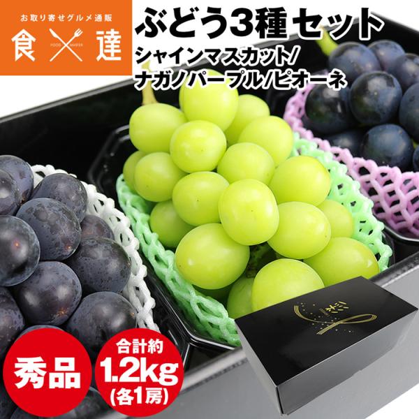 〇ぶどうの人気品種を食べ比べ！3種セット大阪市中央卸売市場の青果のプロが、岡山県、山梨県、長野県ほか、全国のぶどうの名産地からその時々、おすすめの産地を選びます。1種めは、近年人気急上昇の、皮ごと美味しく食べられるシャインマスカット。パリッ...