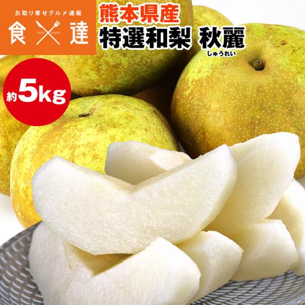 〇上品で濃厚な甘みの秋麗梨（しゅうれいなし）秋麗梨は、2003年に登録された比較的新しい品種です。目を引くのはその外観。果皮にサビと呼ばれる褐色の柄が出ますが、これは秋麗梨の特徴です。通常、梨はサビが入らないよう袋をかけて栽培されますが、秋...