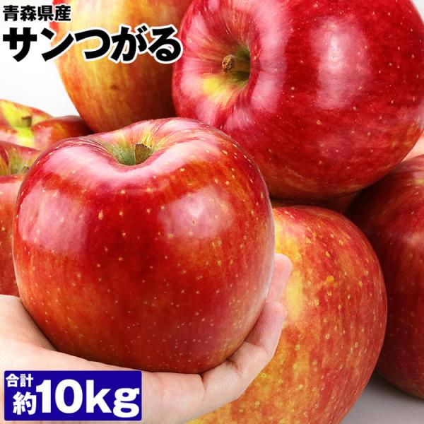 〇無袋栽培の甘い早生りんご、サンつがる9月上旬頃から楽しむことのできる、早生種のりんご。国内で2番目に収穫量の多い大人気品種です。ジューシーで果肉はやや硬め。甘みが強く、酸味は控えめです。皮ごと召し上がると、パリッとした食感を楽しめますよ。...