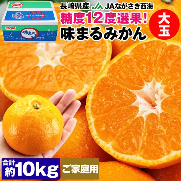 〇糖度12度選果、厳しい基準をクリアした味まるみかん長崎県が誇る、高品質ブランドみかん。温暖な気候の長崎県佐世保市、西海地区で育てられています。味まるみかん最大の特徴は、糖度の高さと安定した品質に有ります。光センサーを用いて、果実を傷つける...