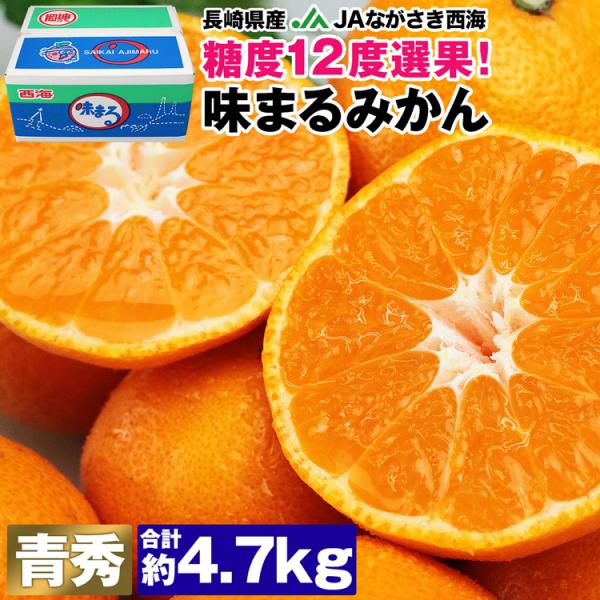 ＜商品説明＞〇糖度12度選果、厳しい基準をクリアした味まるみかん長崎県が誇る、高品質ブランドみかん。温暖な気候の長崎県佐世保市、西海地区で育てられています。味まるみかん最大の特徴は、糖度の高さと安定した品質に有ります。光センサーを用いて、果...