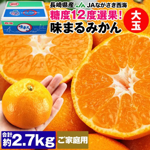 ＜商品説明＞〇糖度12度選果、厳しい基準をクリアした味まるみかん長崎県が誇る、高品質ブランドみかん。温暖な気候の長崎県佐世保市、西海地区で育てられています。味まるみかん最大の特徴は、糖度の高さと安定した品質に有ります。光センサーを用いて、果...