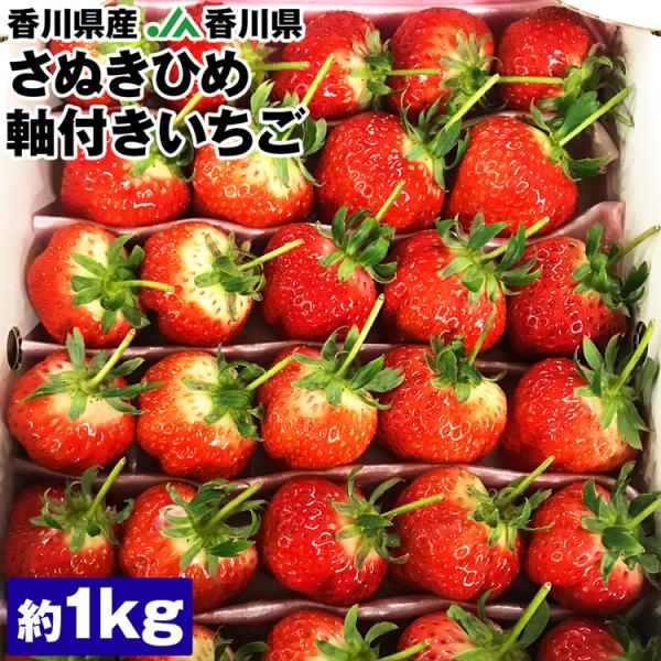 ＜商品説明＞〇赤くて甘いプリンセス、さぬきひめ香川県推奨のさぬき讃フルーツに選ばれているブランドいちご、さぬきひめ。大きく、まるまるとした愛らしい果実が特徴です。光沢のある果肉は柔らかな食感で、一口かじれば果汁があふれるほどジューシーです。...