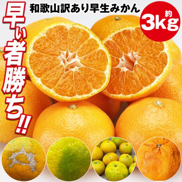 ＜商品説明＞〇和歌山県産 訳あり早生みかん見た目は悪くても味は抜群！美味しく食べてフーロドス削減。生産者さんが愛情を込めて大切に育てられているみかんですが生育途中で傷がついてしまったものなど選果で規格外となってしまいお店などでは販売できない...