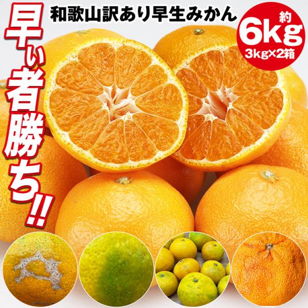 ＜商品説明＞〇和歌山県産 訳あり早生みかん見た目は悪くても味は抜群！美味しく食べてフーロドス削減。生産者さんが愛情を込めて大切に育てられているみかんですが生育途中で傷がついてしまったものなど選果で規格外となってしまいお店などでは販売できない...