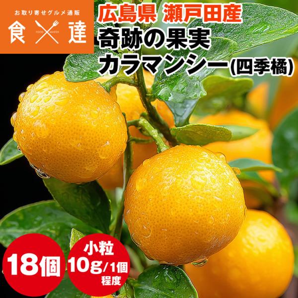 ＜商品説明＞フィリピンで人気の香酸柑橘。酸味が強いため、果肉をそのまま食べるのではなく果汁や皮の香りを楽しむために使われます。一年中実をつけることから「四季橘（シキキツ）」とも呼ばれています。果汁をドレッシングにしたり、焼き魚にかけたり、お...