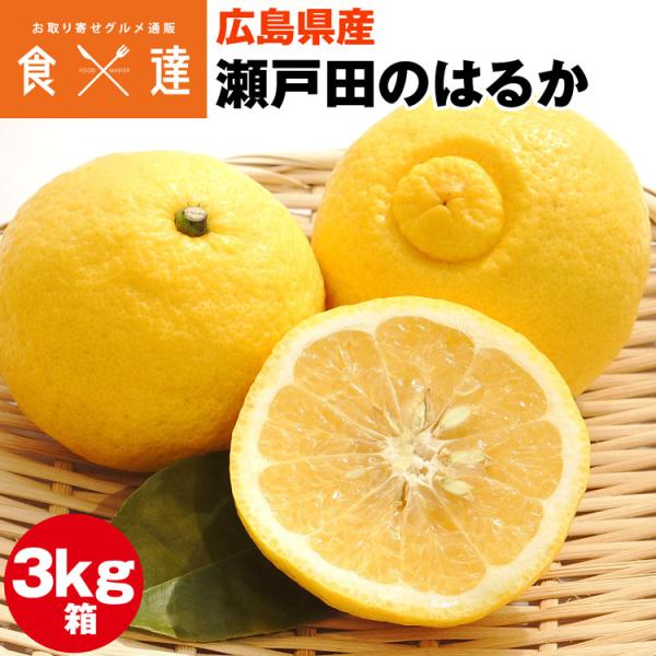 ＜商品説明＞瀬戸内海に浮かぶレモンと柑橘の名産地、生口島で育った美味しいはるかです。日向夏の偶発実生。果皮が黄色く一見酸っぱそうですが爽やかな甘みを楽しめるフルーツです。プリプリとした粒の食感を楽しむことができ、サラダのトッピングやフレーバ...