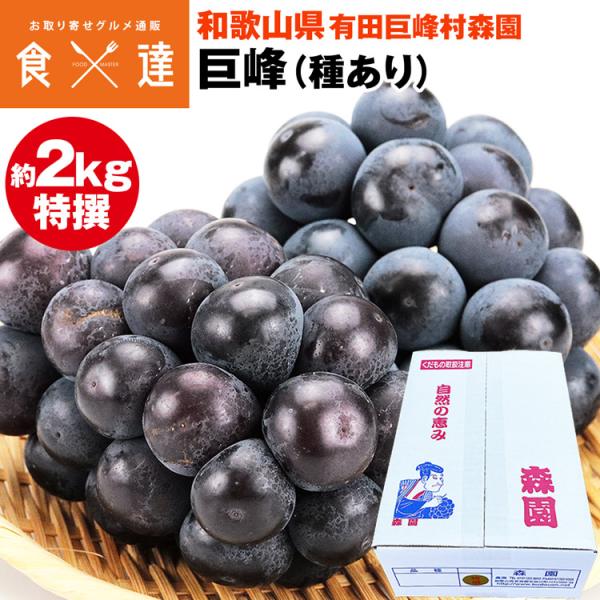 和歌山県の有田巨峰村、森園さんから産地直送！発送当日に収穫した、フレッシュなぶどうをお届けします。森園のぶどうは、過去数年にわたる皇室秋篠宮様献上実績を持つ、質の高いぶどうです。多数ある森園のぶどうの中でも、1番の人気を誇るのが巨峰。粒が大...