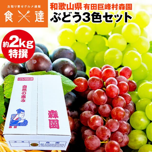 和歌山県の有田巨峰村、森園さんから産地直送！発送当日に収穫した、フレッシュなぶどうをお届けします。森園のぶどうは、過去数年にわたる皇室秋篠宮様献上実績を持つ、質の高いぶどうです。そんな森園で特に人気の高いぶどう3種を詰め合わせにしました。食...
