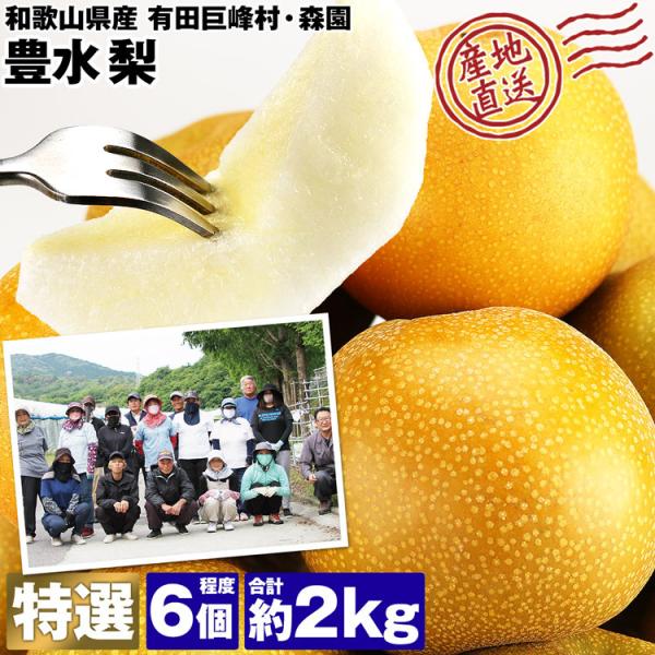 和歌山県の有田巨峰村、森園さんから産地直送！園内で栽培されているぶどうを、過去数年にわたり皇室秋篠宮様へ献上した実績を持ち、質の高いフルーツを作られている農園です。豊水は『梨の三水』の一つで、和梨の人気品種です。赤みがかった褐色の、ざらっと...