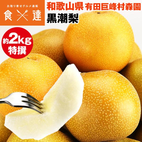 森園、直売所で大人気。毎年早期完売になるため、ネットショップでは長らく取り扱いのなかった幻の梨が待望の商品化です！収穫量が増え、全国の皆様にお届けできることになりました。黒潮梨は酸味が少なく、高糖度。かじると強い甘みが口いっぱいに広がります...