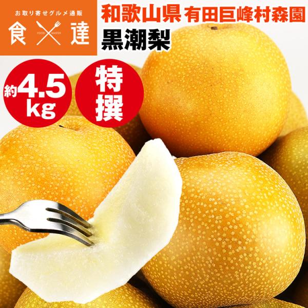 森園、直売所で大人気。毎年早期完売になるため、ネットショップでは長らく取り扱いのなかった幻の梨が待望の商品化です！収穫量が増え、全国の皆様にお届けできることになりました。黒潮梨は酸味が少なく、高糖度。かじると強い甘みが口いっぱいに広がります...