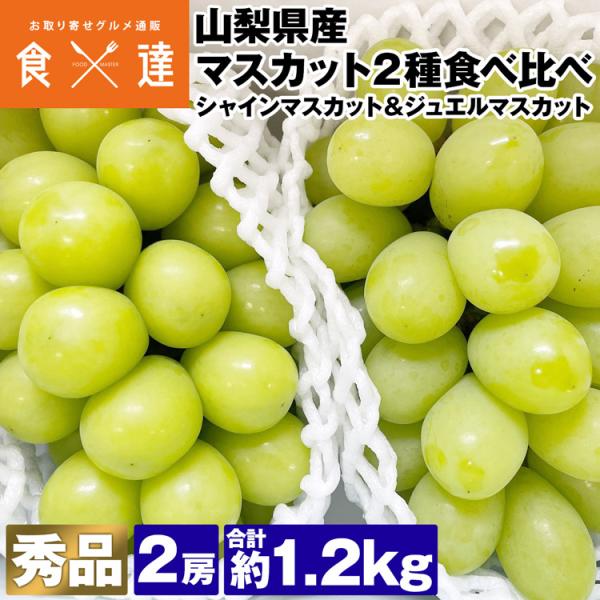 ＜商品説明＞全国でも有数のぶどうの産地、山梨県。その中でも山梨市、甲州市、笛吹市は特に出荷量が多く、また、平地から山地まで標高差のある環境のため長い期間、旬のぶどうを楽しむことができます。今回お届けするマスカット2種セットは、糖度選果を実施...