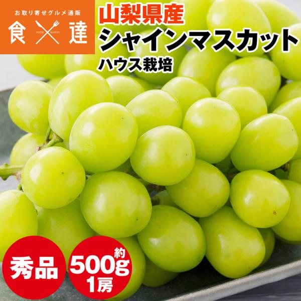 ＜商品説明＞ぶどう、ワインの一大産地・山梨県からハウスで育てられたシャインマスカットをお届けします。大人気のシャインマスカットは通常9月頃に旬を迎えますが、農家の方の熟練した加温栽培技術によって一足先に旬の味をお楽しみいただけます。贈り物や...